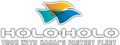 Private Boat Tours To Napali, Niihau, Lehua | Holo Holo Charters