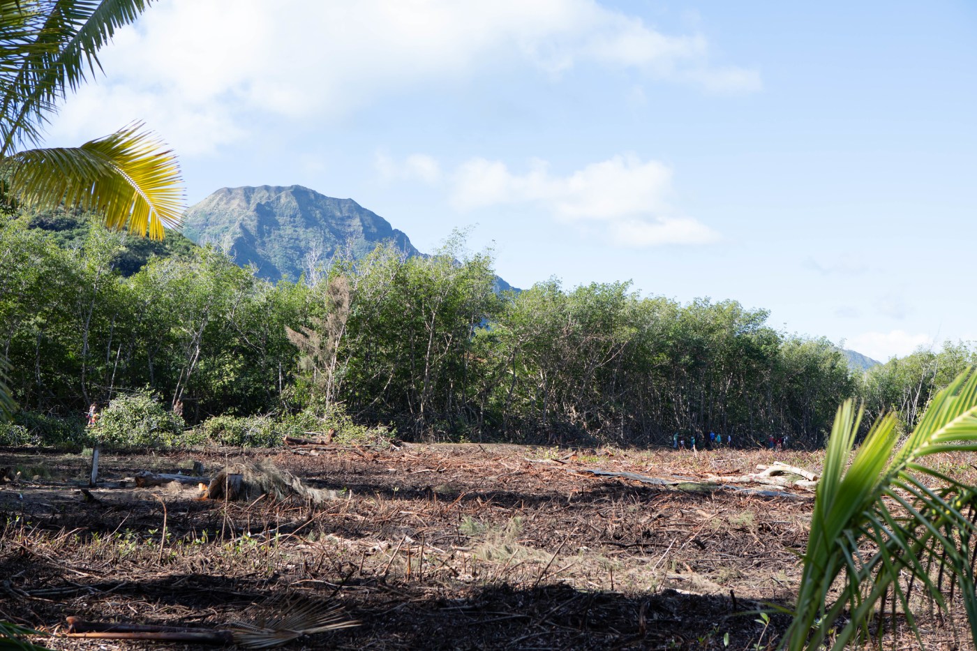 Legend of the Menehune